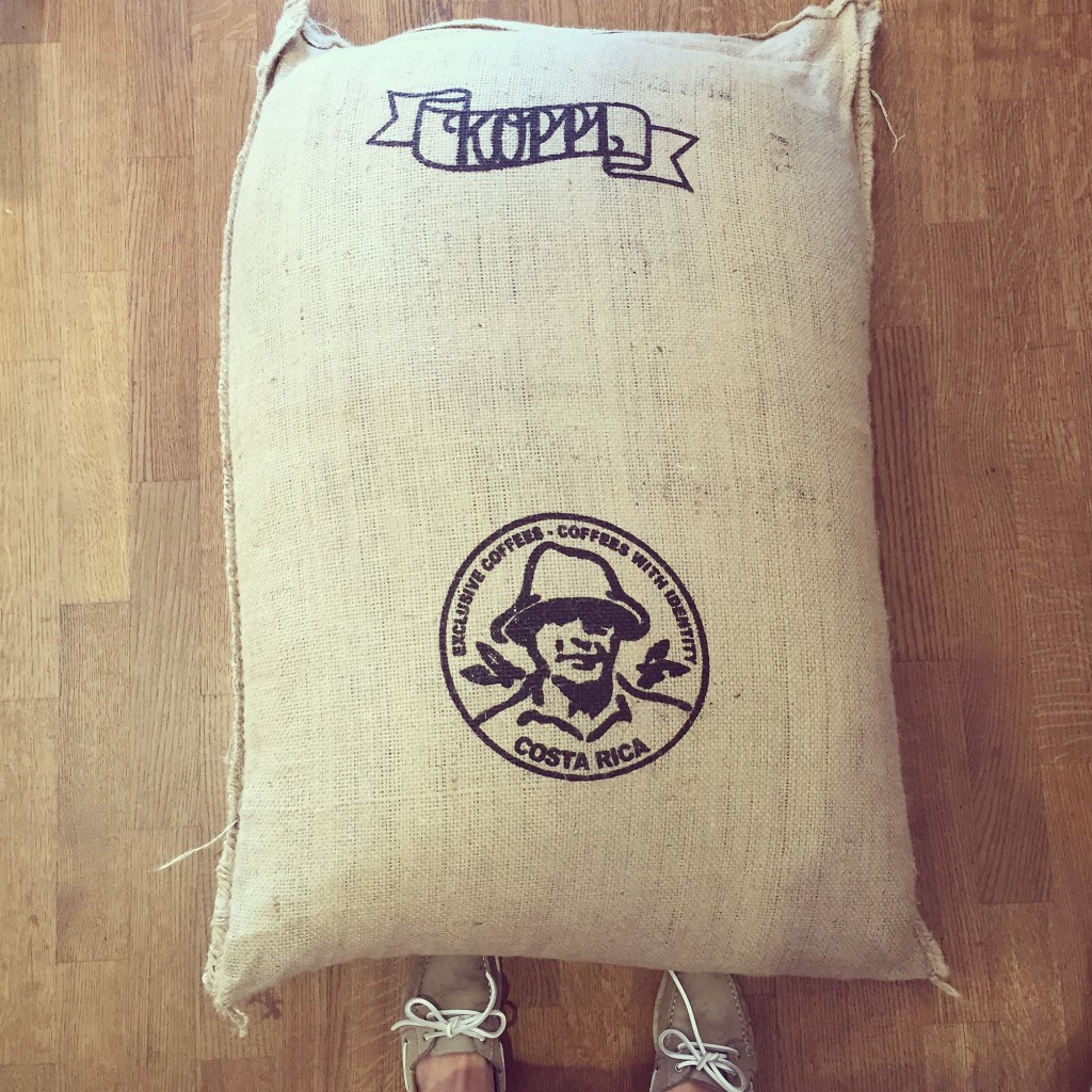 The Perfect Cup of Koppi