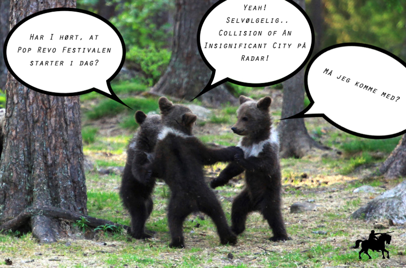 Music Festivals in Scandinavia You Haven't Heard About