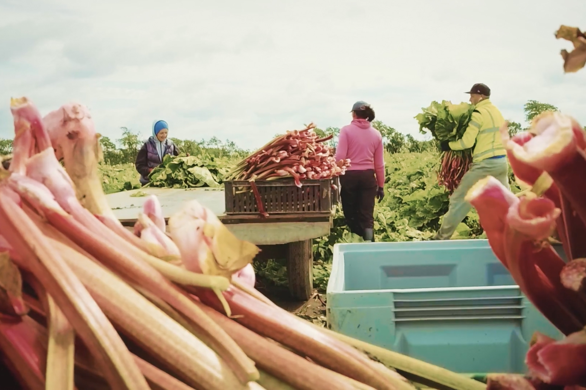 Fresh Squeezed: The Best Juice in Denmark from Bornholms Mosteri