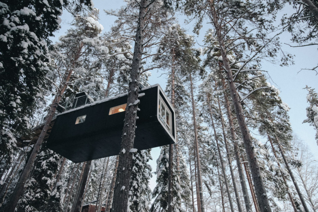 Visit the Tree Hotel in Northern Sweden