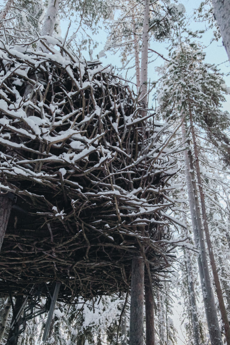 Visit the Tree Hotel in Northern Sweden