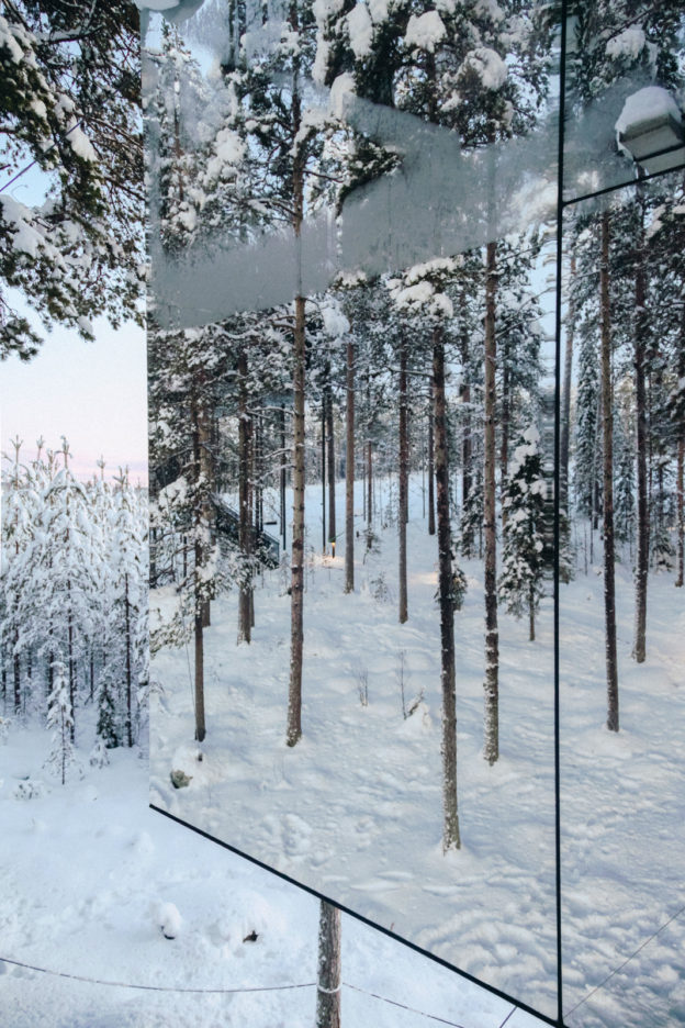 Visit the Tree Hotel in Northern Sweden