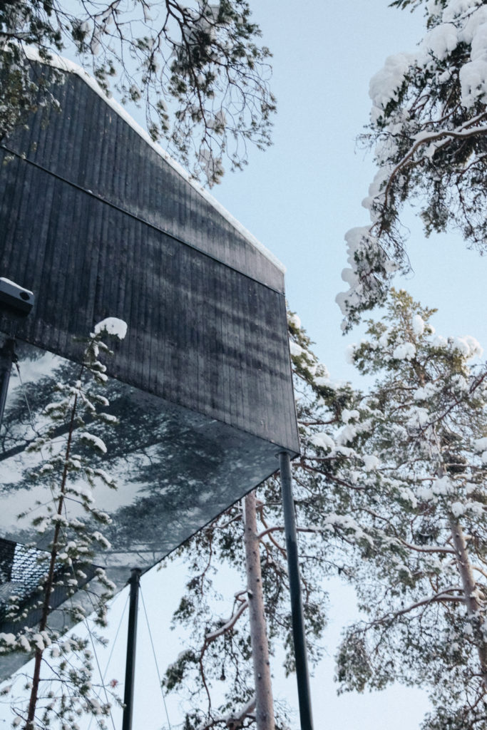 Visit the Tree Hotel in Northern Sweden
