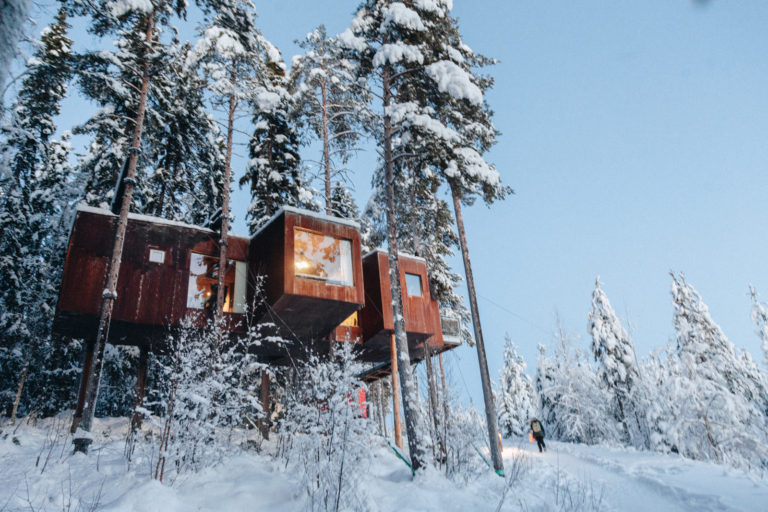 Visit the Tree Hotel in Northern Sweden