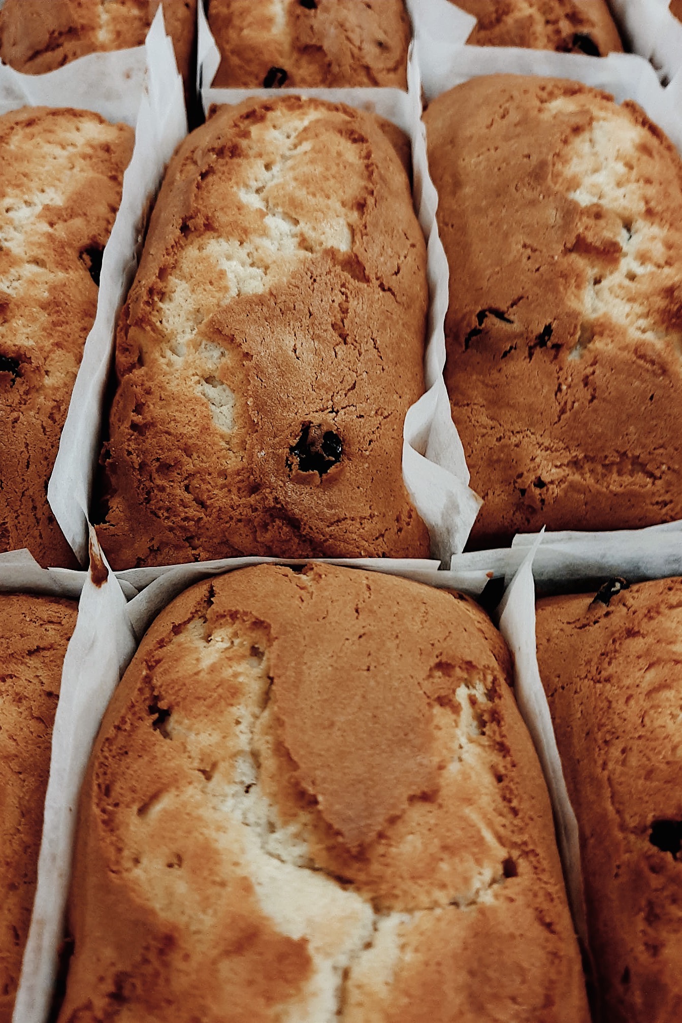 A Guide to the Best Bakeries in Reykjavík