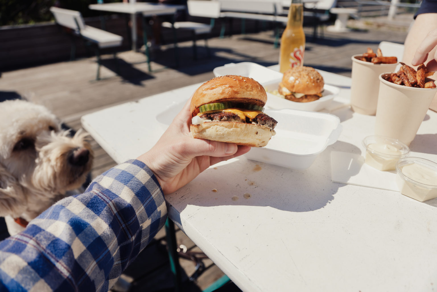 The Monthly Bite: Best New Openings in Copenhagen Vol. 12