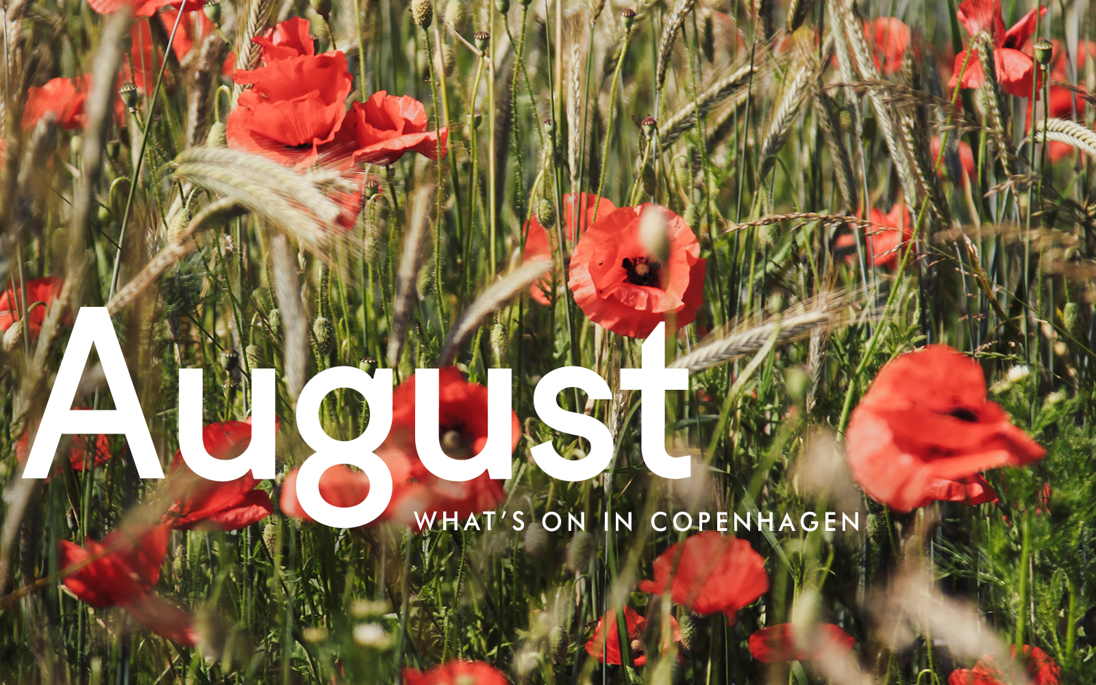 What's On in Copenhagen: August 2021 | Scandinavia Standard